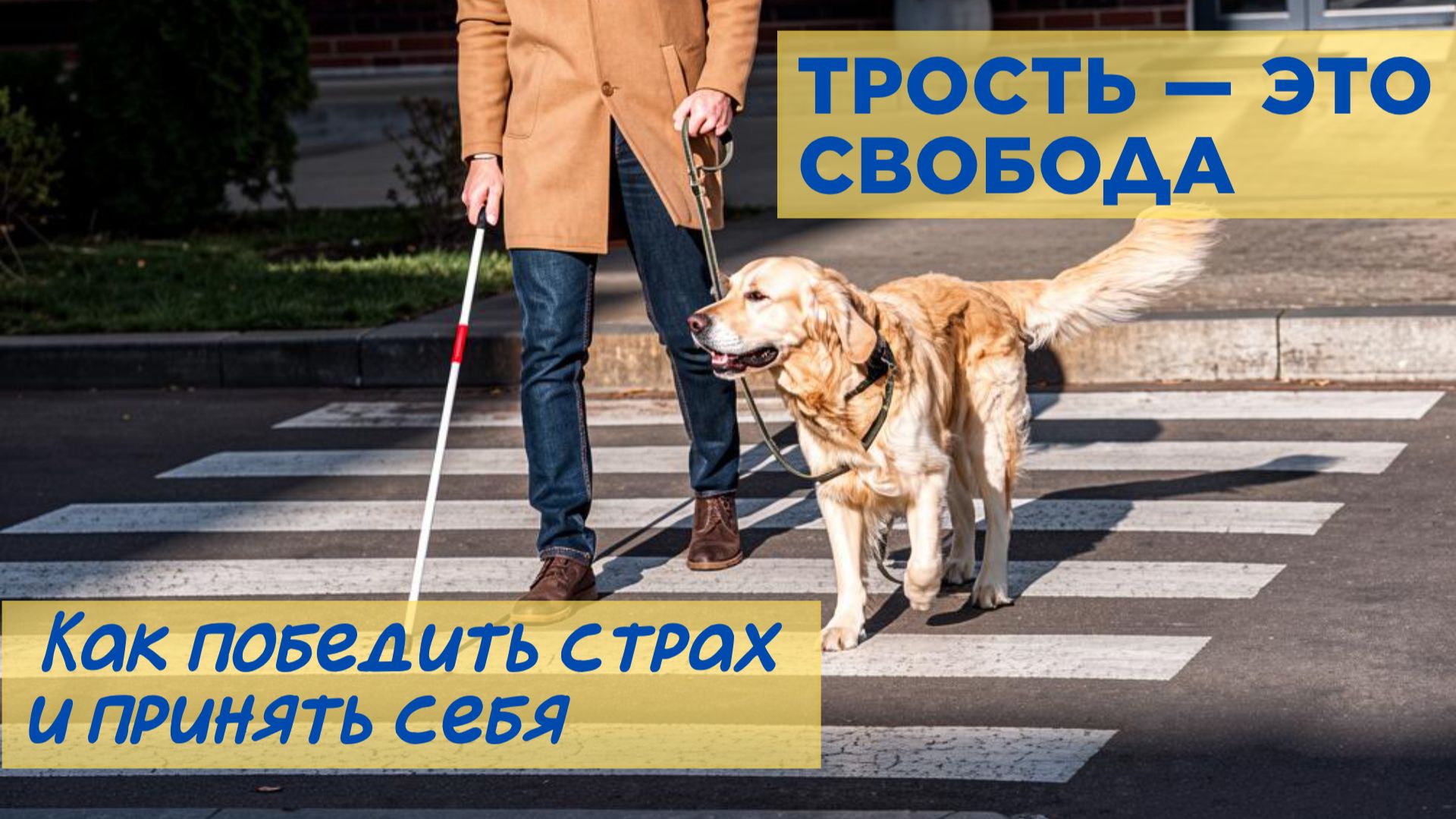 Как принять трость и другие ТСР? Психология адаптации