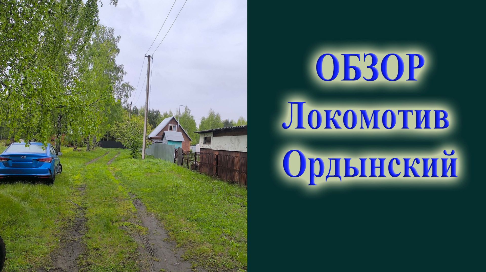 Обзор СНТ Локомотив Ордынский Новосибирская область