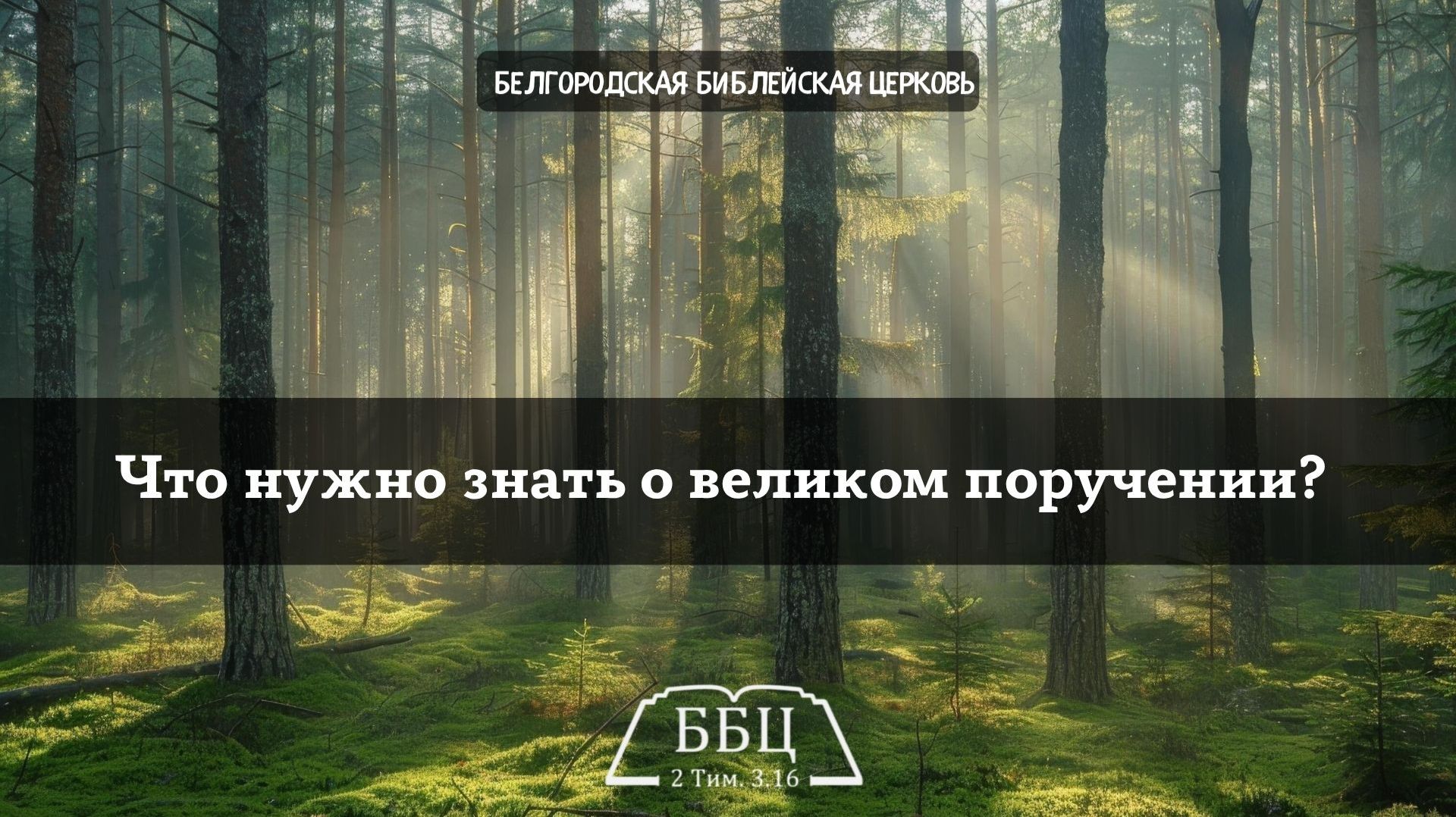 "Что нужно знать о великом поручении?" (Мф. 28-16-20)| Александр Денисьев