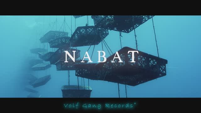 Volf Gang Records®: Nabat