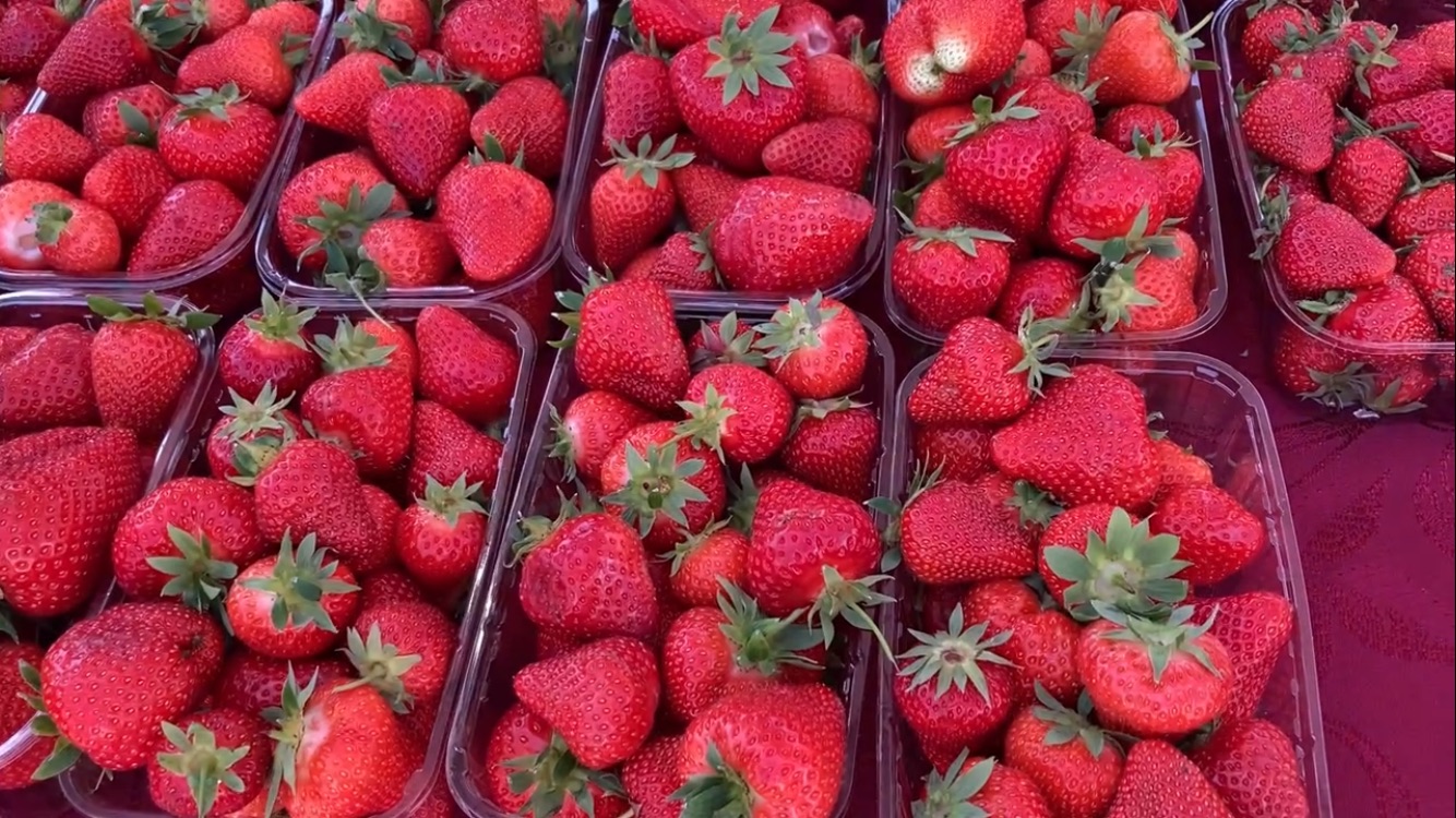 ✅ фестиваль клубники 🍓сама ягода 350 р/кг 🍓 успела до грозы ☀️
