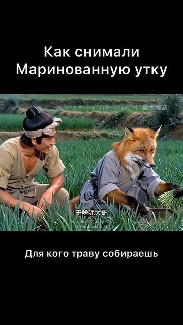 Как снимали Маринованную утку