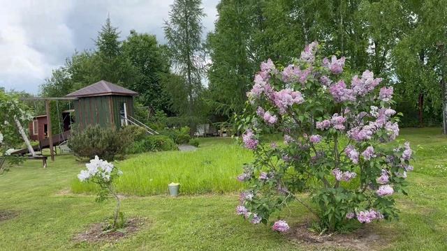 Строительство курятника. Часть 3. Сад, огород, дача.