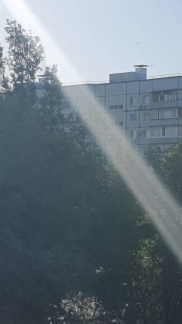 ПОГОДА 25 МАЯ