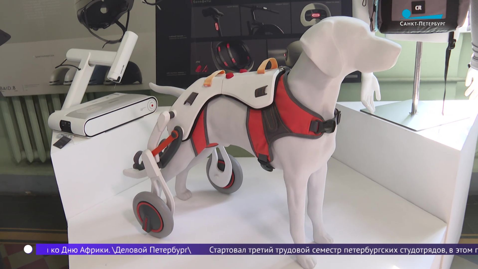 Эксзоскелеты для собак, автомобили будущего на выставке проектов промышленного дизайна