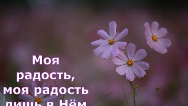 Моя радость лишь в Нём!