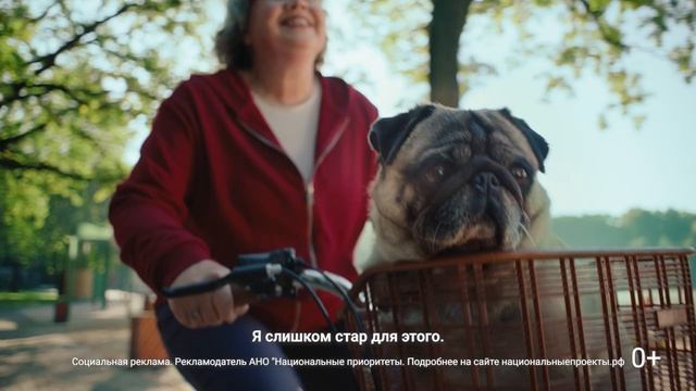 Программа «Активное долголетие»