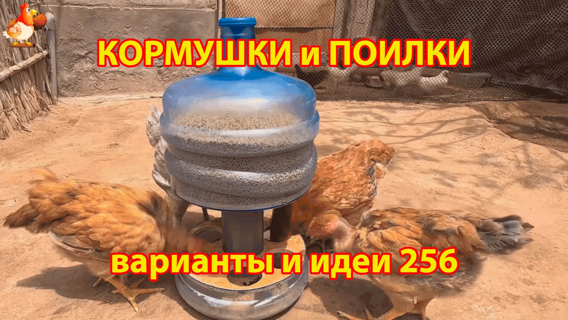 Кормушки и поилки для кур своими руками 256 🪚✂️ Пошаговая инструкция как сделать 🐔 🐓❣️
