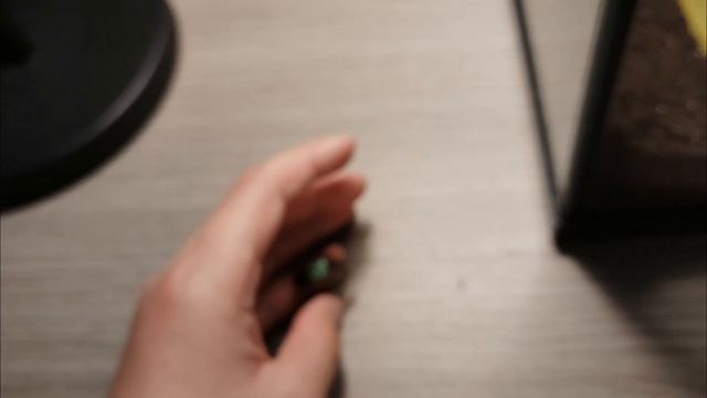 Заселяю жуков бронзовок!