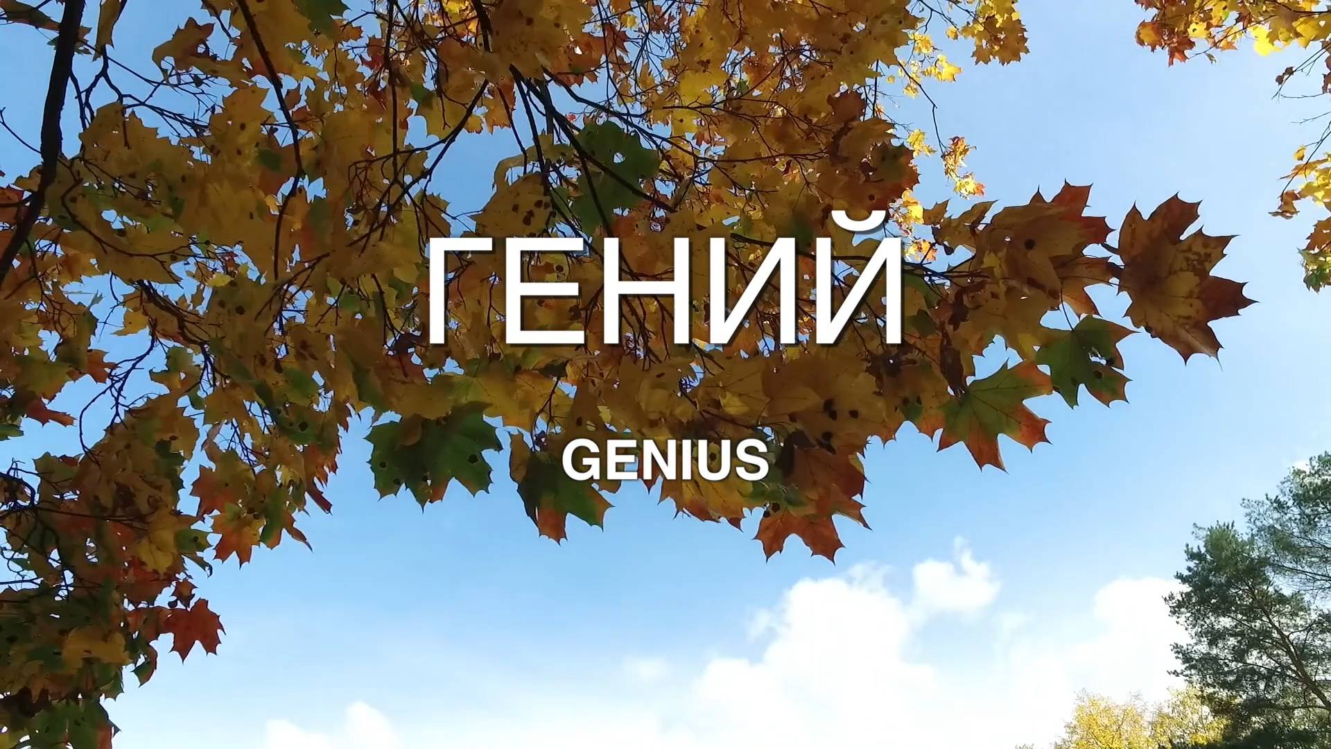 Гений (2017)