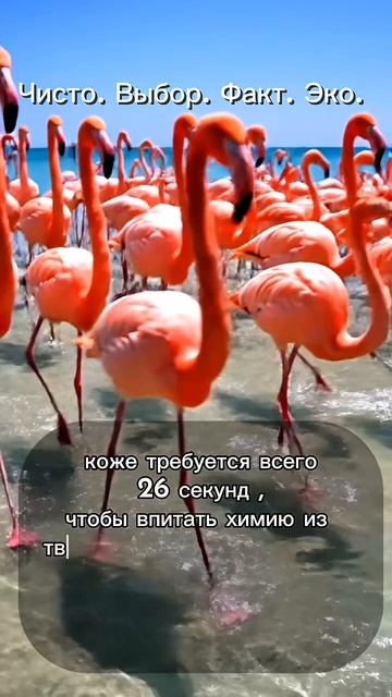 26 секунд