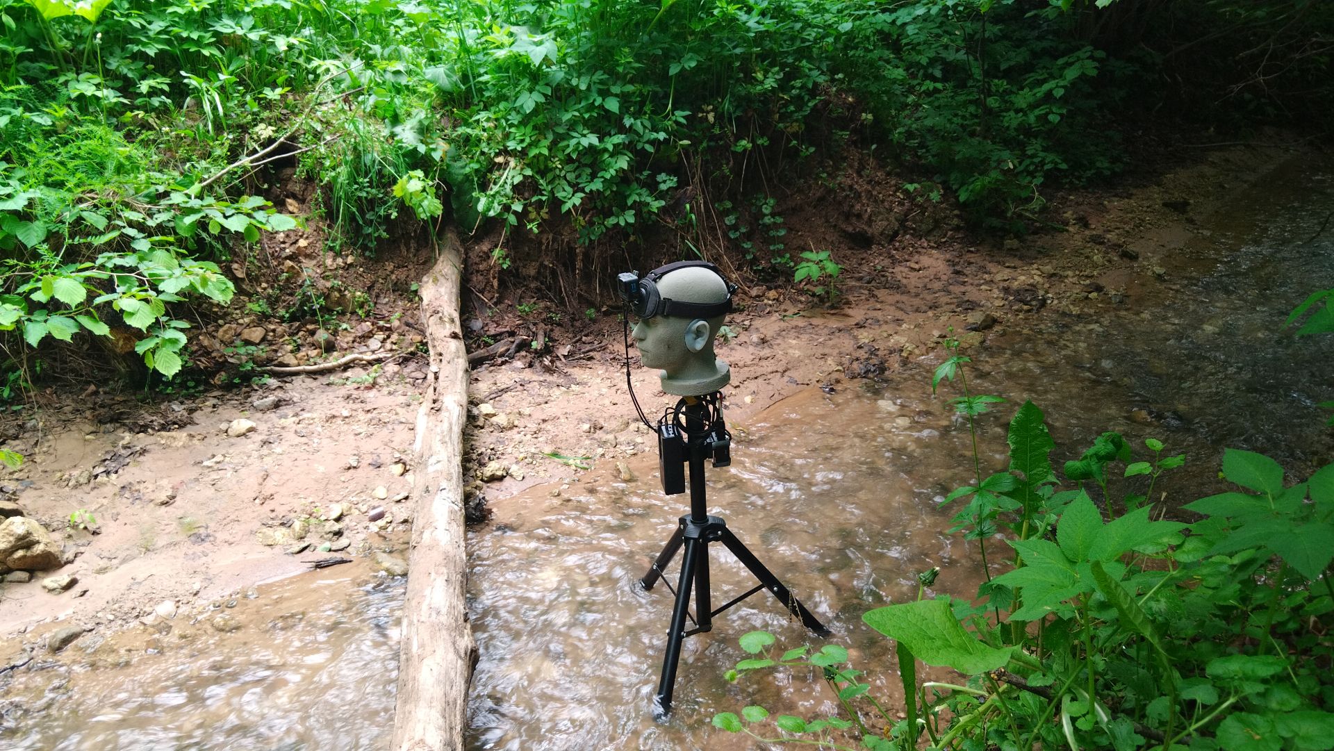 Лесной ручей (часть2) • 3D Бинауральная запись (Binaural Field Recording)