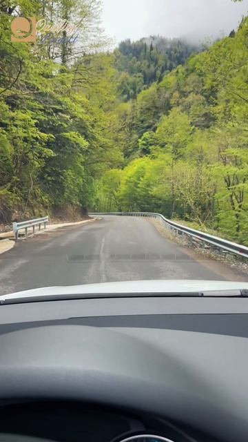 Дорога на курорт Саирме