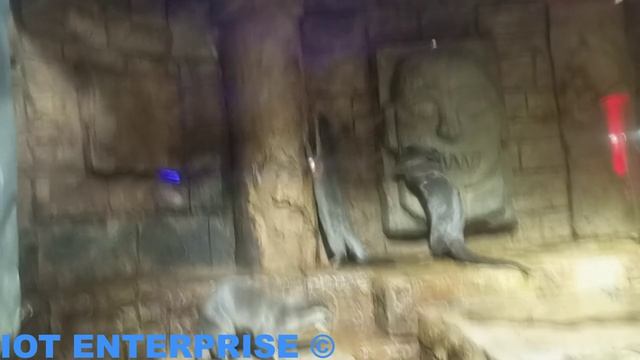 Кормление выдр Самарский  океанариум