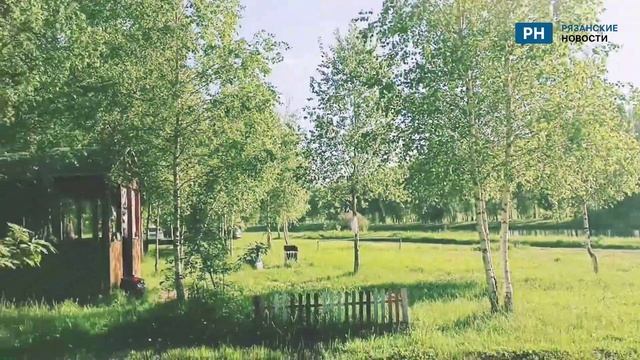 Рязанцам рассказали, где отдохнуть среди прекрасной природы