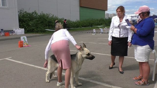 Элита Урала Ярость