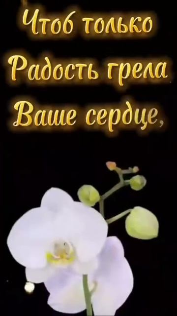 Моим друзьям