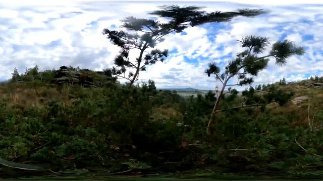 Озеро Колыванское в формате 360°