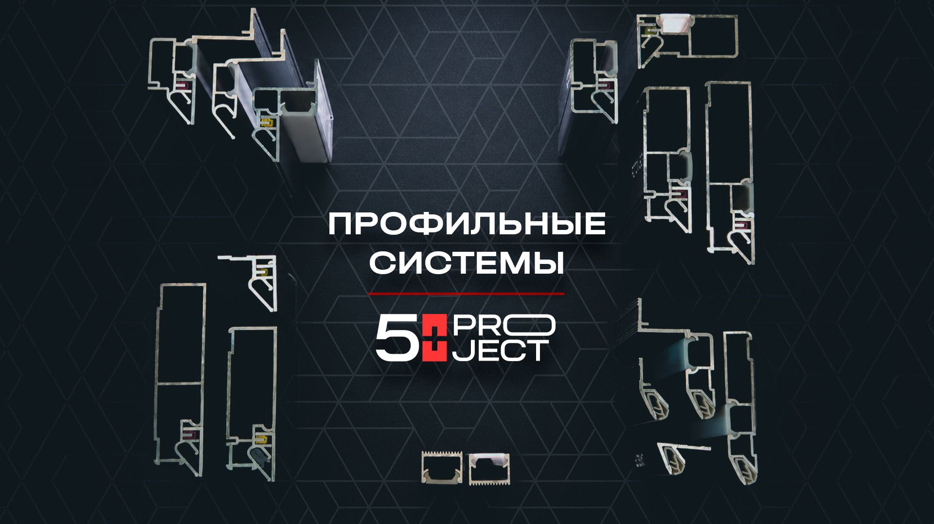 ПРОФЕССИОНАЛЬНЫЕ ПРОФИЛЬНЫЕ РЕШЕНИЯ — ПРОЕКТ 5+