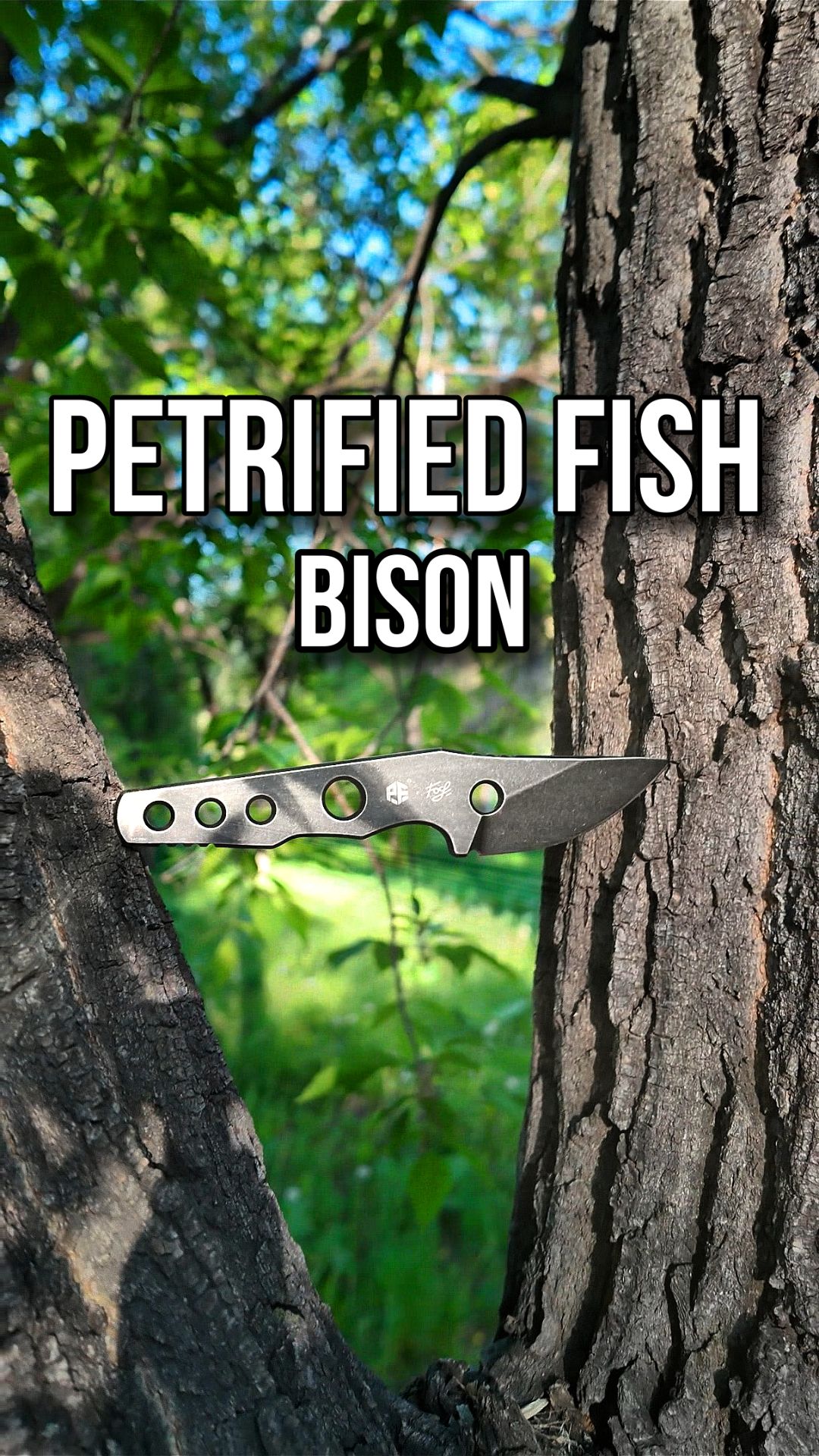 🔥 Нож PETRIFIED FISH Bison - PFE13 #edc #edcknife #petrifiedfish #Skeletonknife #unboxing #everyday