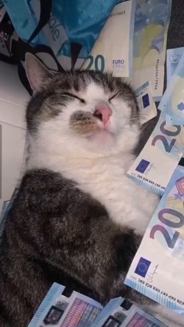 Йа богат