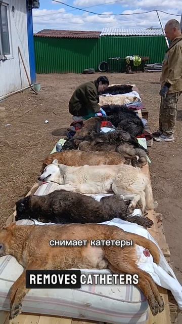 1-Й ДЕНЬ РАБОТЫ ФОНДА БРИДЖИТ БОРДО