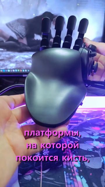 КОНЕЦ WASD