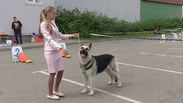 Ольвал Дэнис Ярд