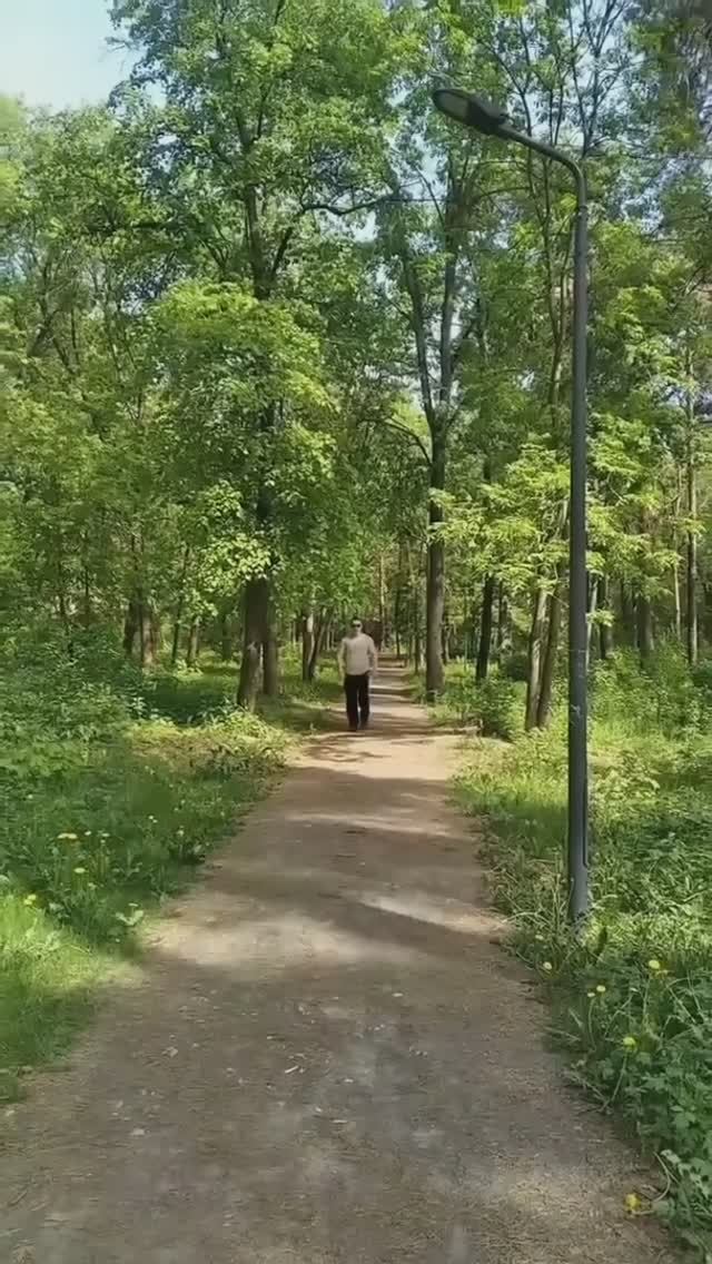 Балашов Артем