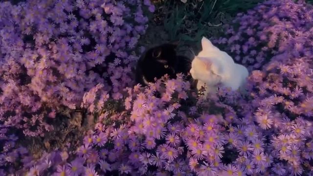 Ну точно мы