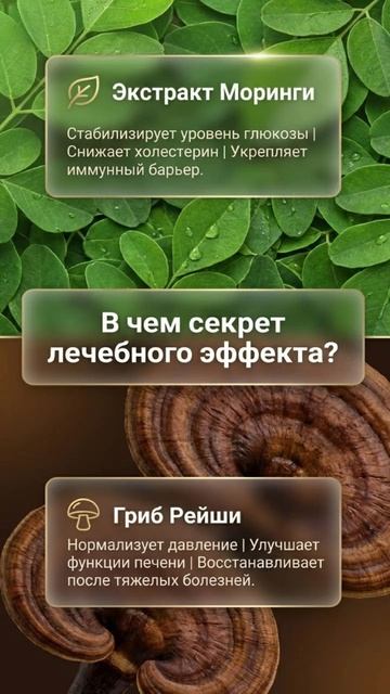 кофе гриб рейши и моринга