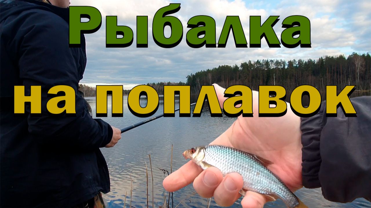 Рыбалка поплавком весной! Ловля плотвы на озере! Открылся поплавком по мирной рыбе! Сорога на мах!