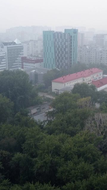 Тишина. Дымка. Тревога.