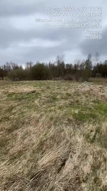 д. Чебуново 50:18:0030410:598