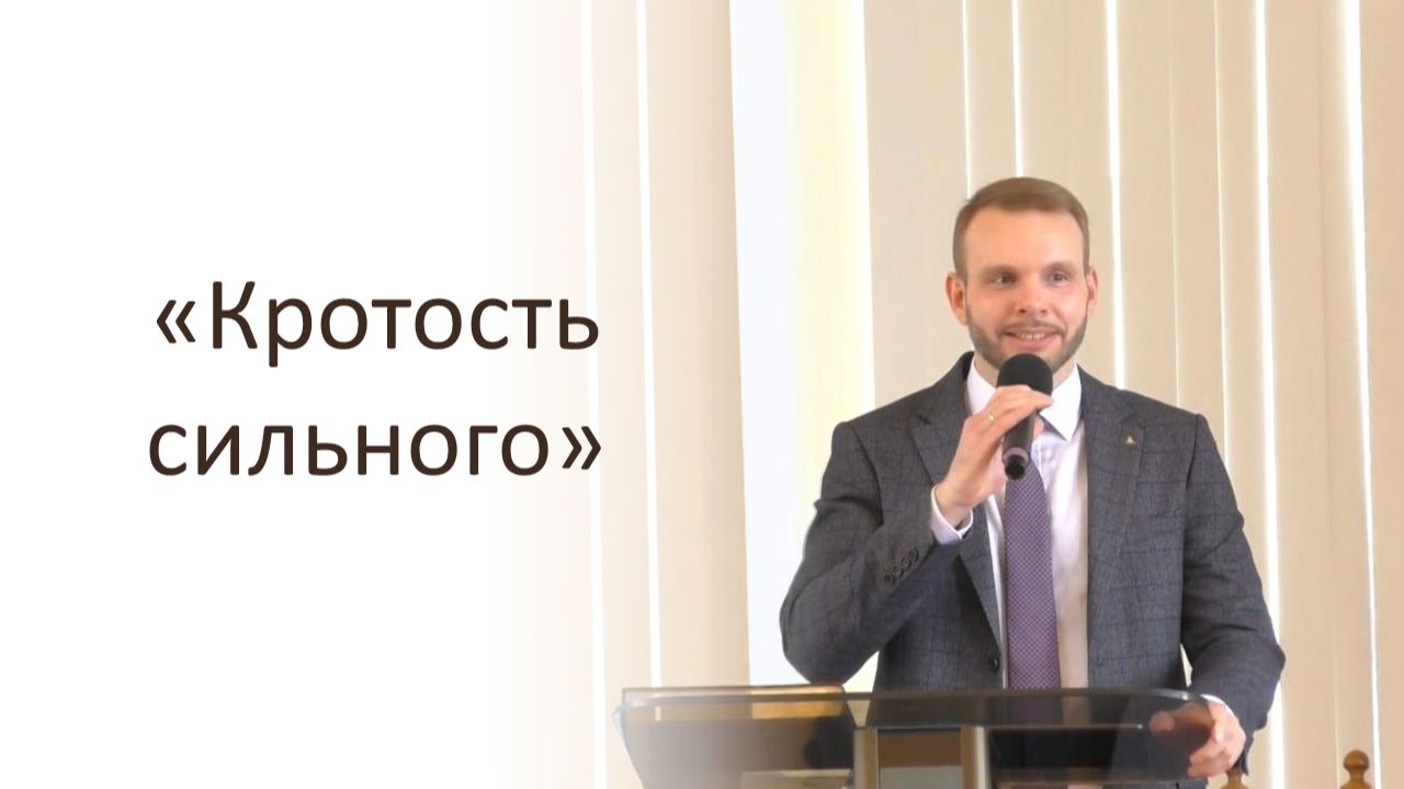 Кротость сильного. Михаил Варёнов.