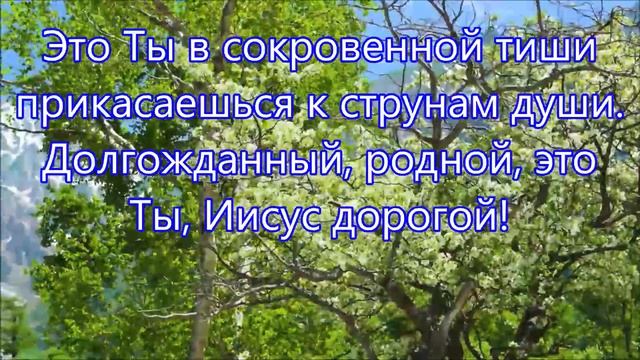 Иисус   жизнь моя!