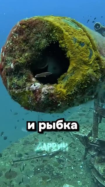 Не мусорить тут!