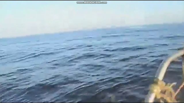 НЛО видео. Удивительные съемки. Подборка за май
