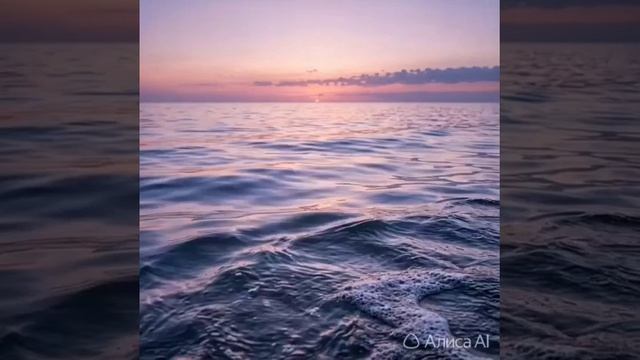 море