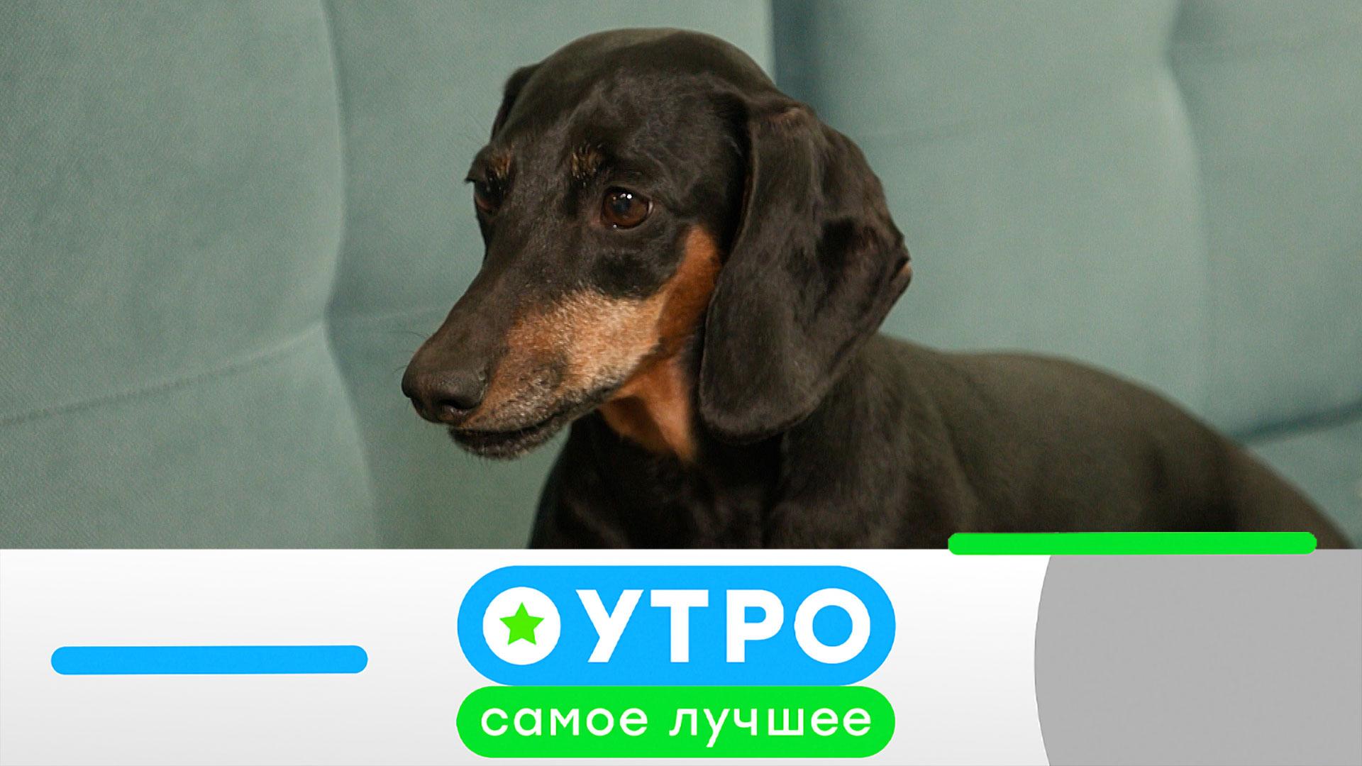 «Утро. Самое лучшее». 25 мая 2026 года