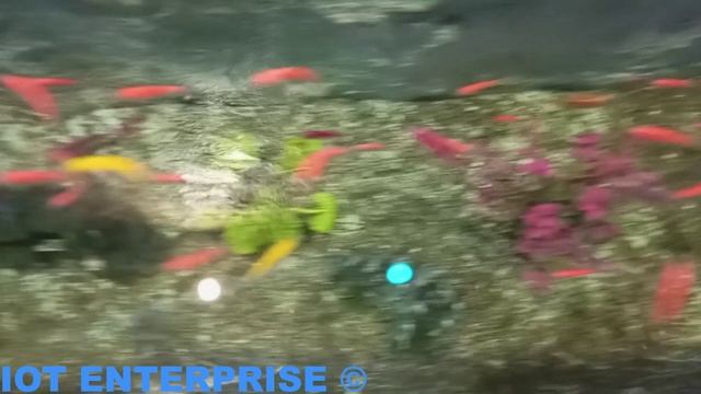 Самарский океанариум видео экскурсия