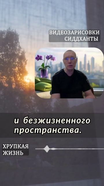 Хрупкая жизнь. Видеозарисовки Сиддханты (Вячеслава Чернина)