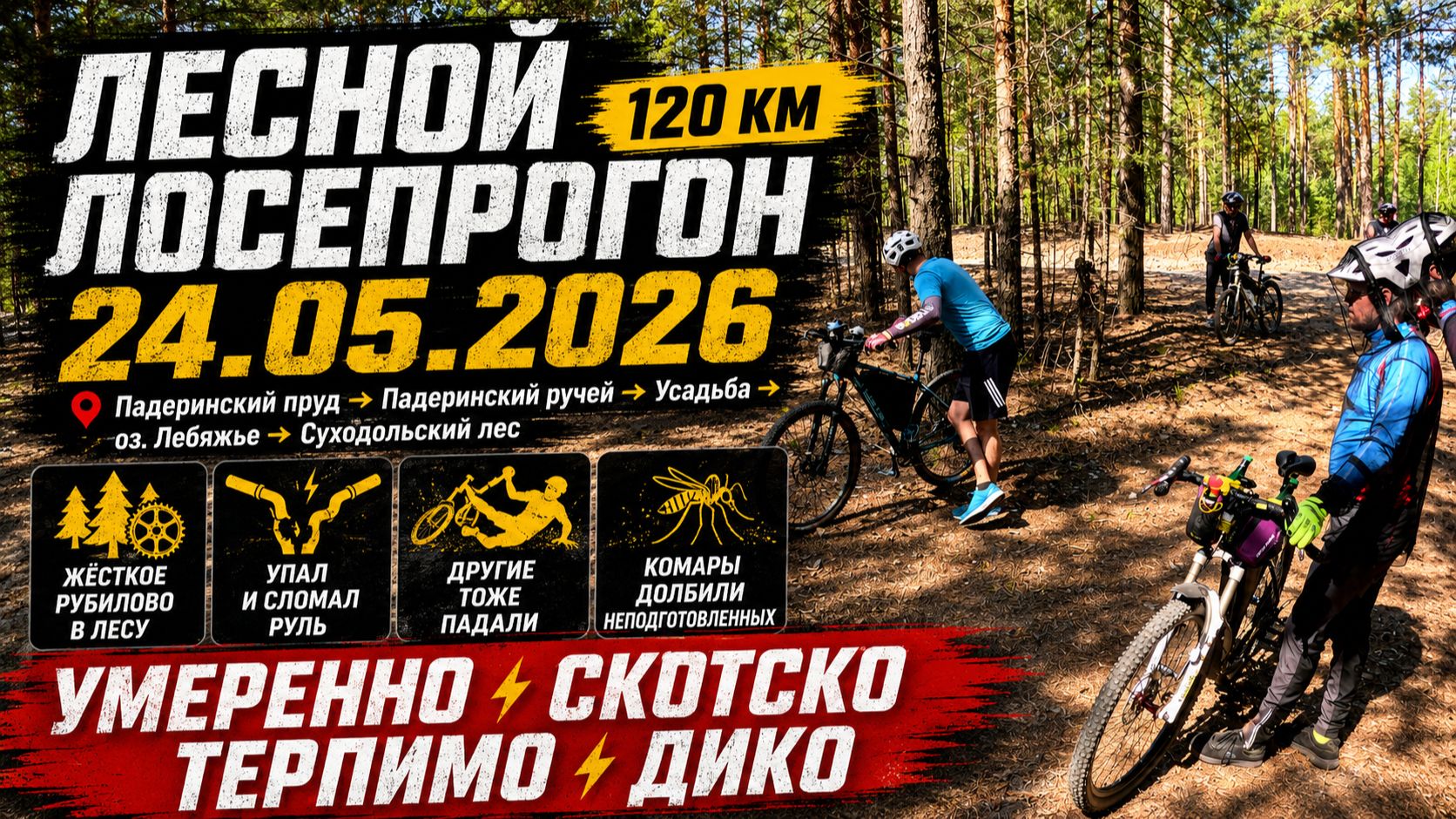Лесной лосепрогон #велопоездка 24.05.2026 #велосипед #MTB