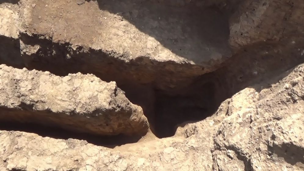 Каны в жилище на раскопе по улице Комсомольская, 28А