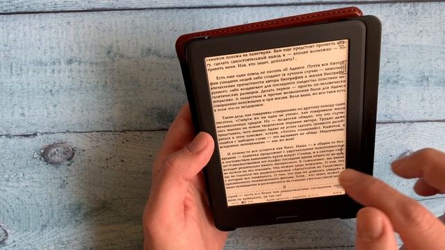 ОНИКС БУКС Вольта 6. Небольшой обзор-инструкция.