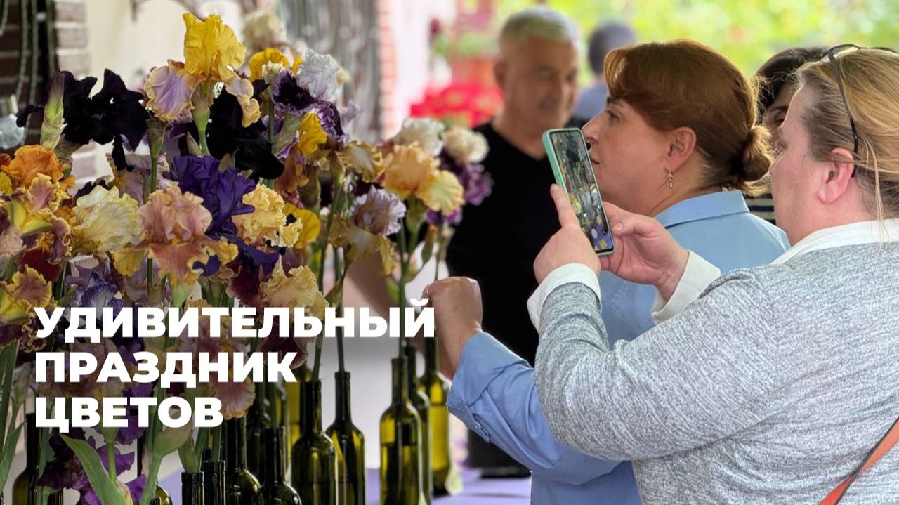 Первый фестиваль ирисов состоялся в Грузии