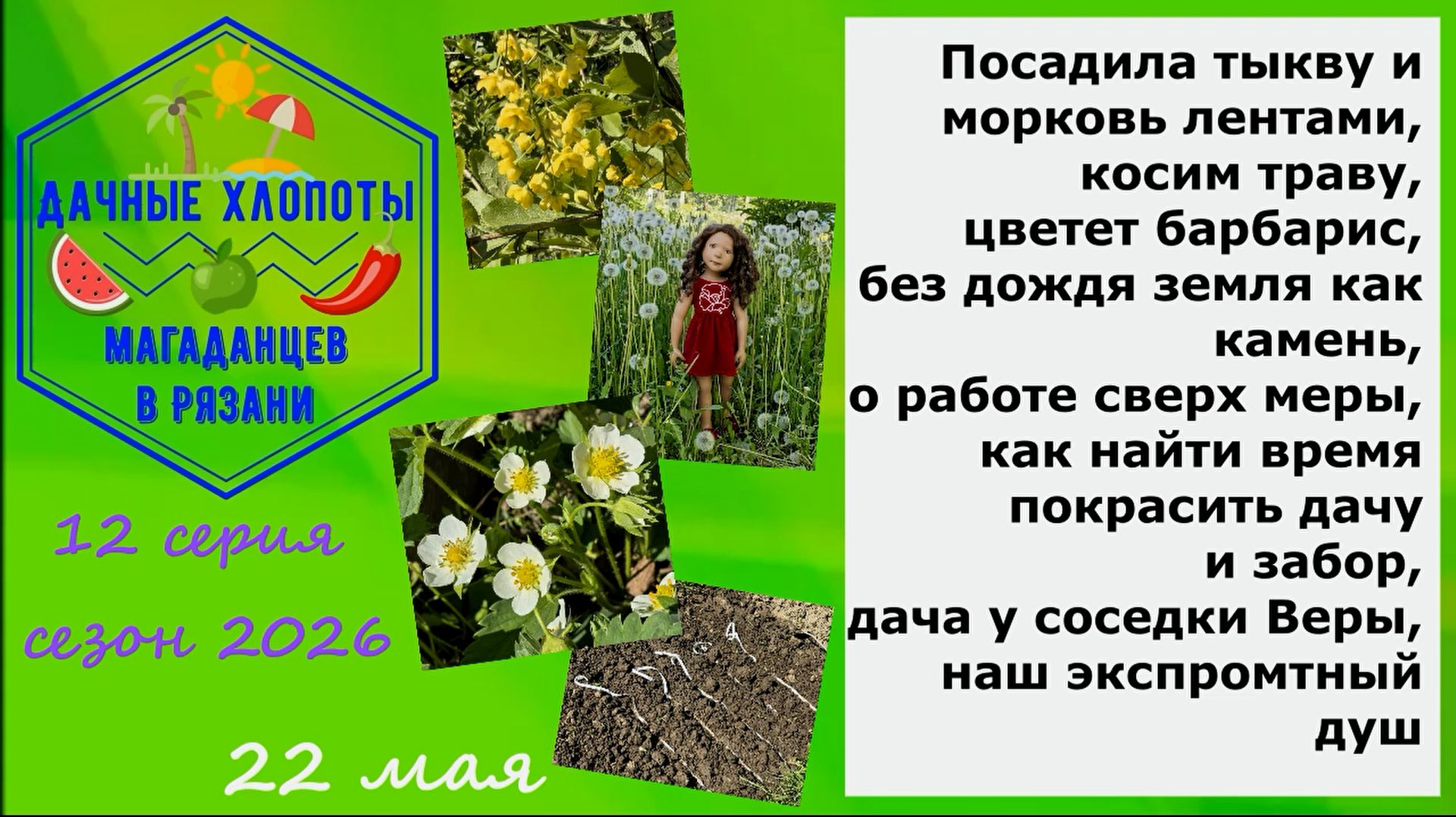 Посадила тыкву,морковь лентами,цветет барбарис,о работе сверх меры,найти время покрасить дачу, душ