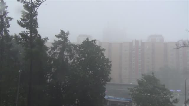 2024 летний дождь 20.06