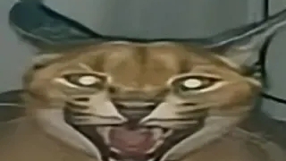 эдит