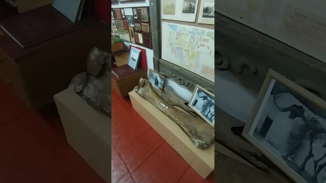 Сельский школьный музей. Посёлок Верх-Падунка, Топкинский р-н, Кемеровская обл., Россия Фр. 10-11